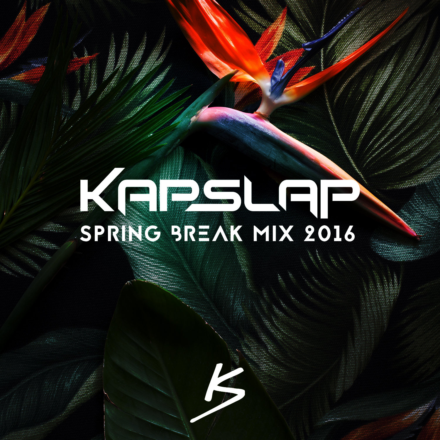 You Need This Spring Break Mix That Kap Slap Just Dropped