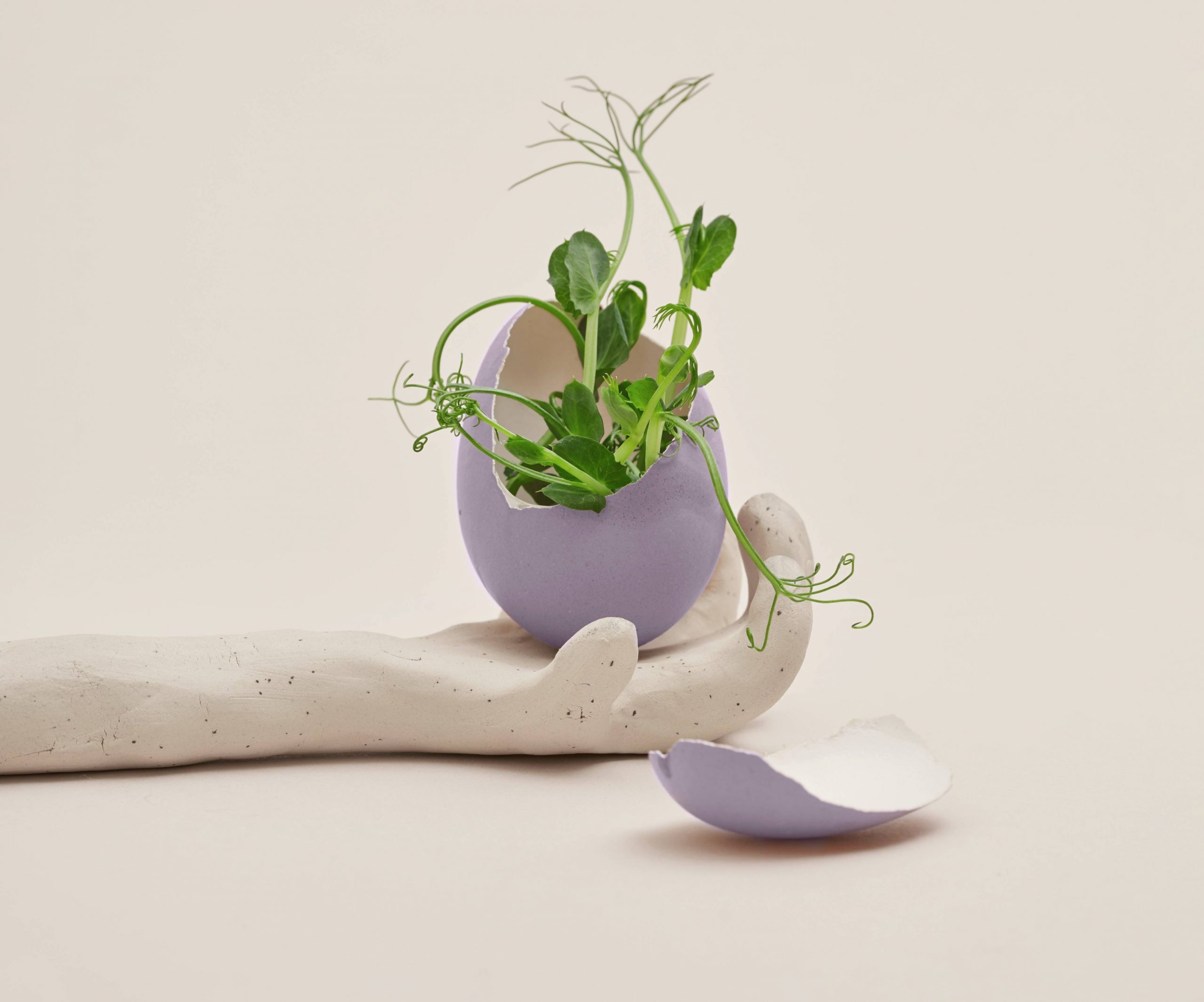 Weekly Rising Talent: Slap Pack Vol. 402 | ThisSongSlaps.com